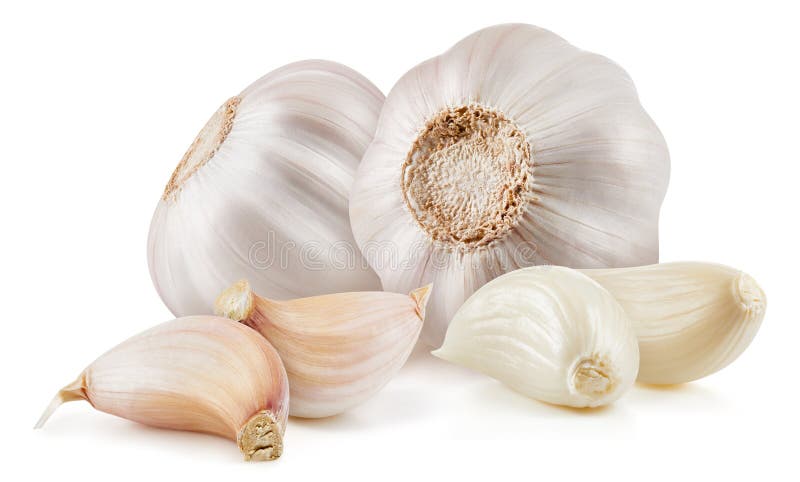 Garlic Isolated on White Background Stock Image - Image of green ...