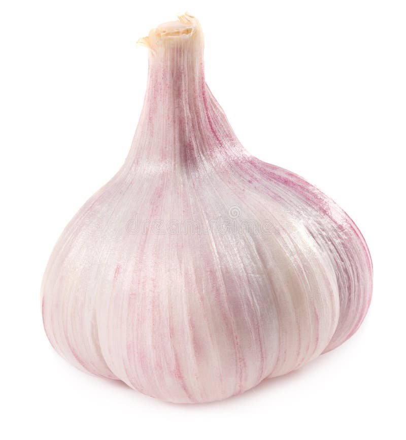 Garlic Isolated on White Background. Full Depth of Field Stock Photo ...