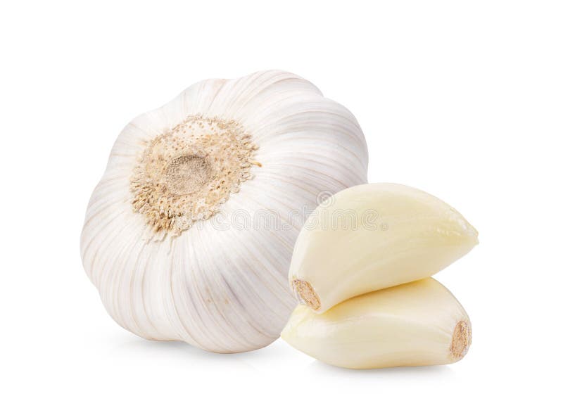 Garlic on white background stock photo. Image of clove - 224684422