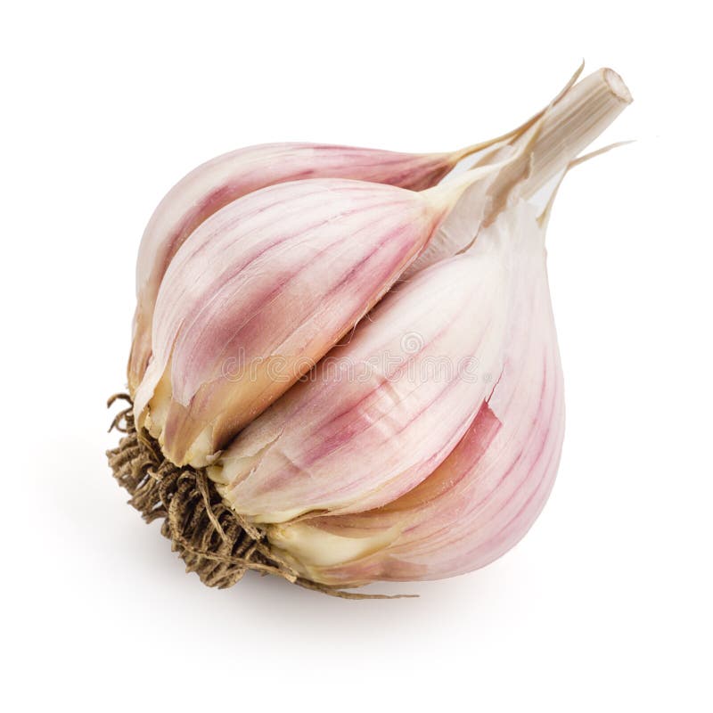 Garlic Isolated on White. Collection Stock Image - Image of white ...