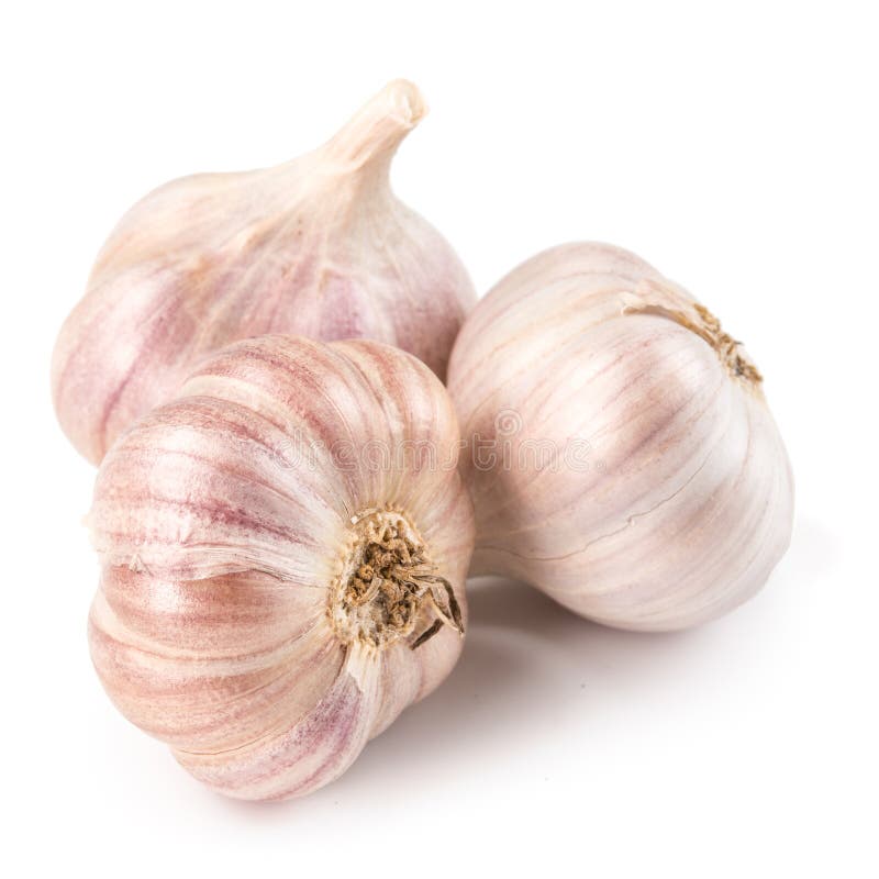 Garlic Isolated on White. Collection Stock Image - Image of white ...