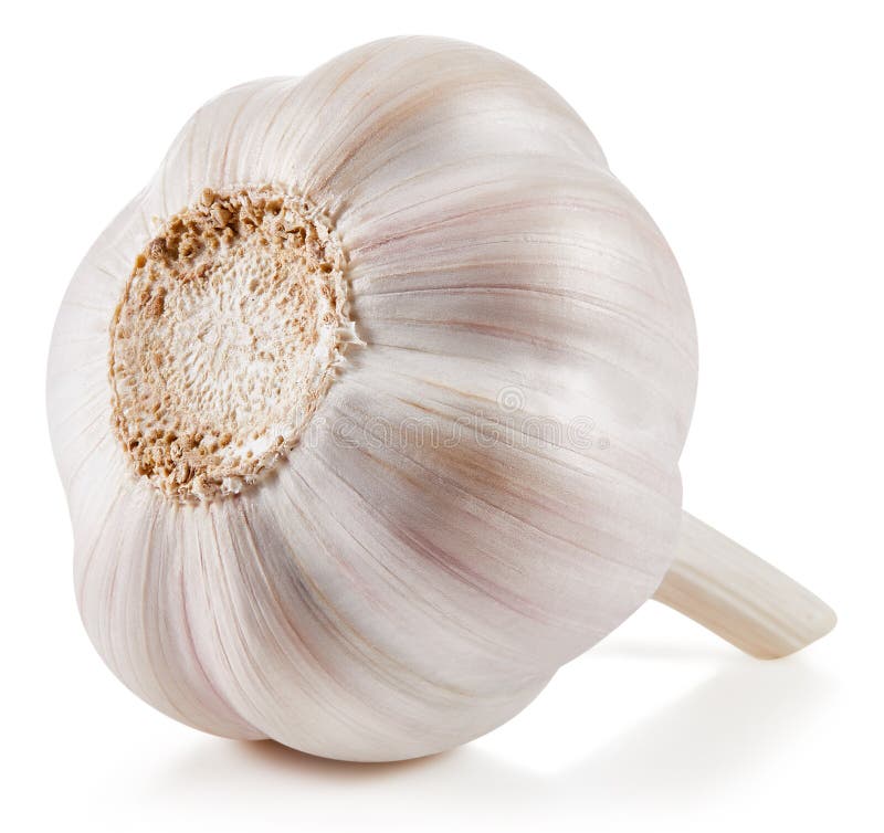 Garlic Isolated on white stock image. Image of ingredient - 117579989