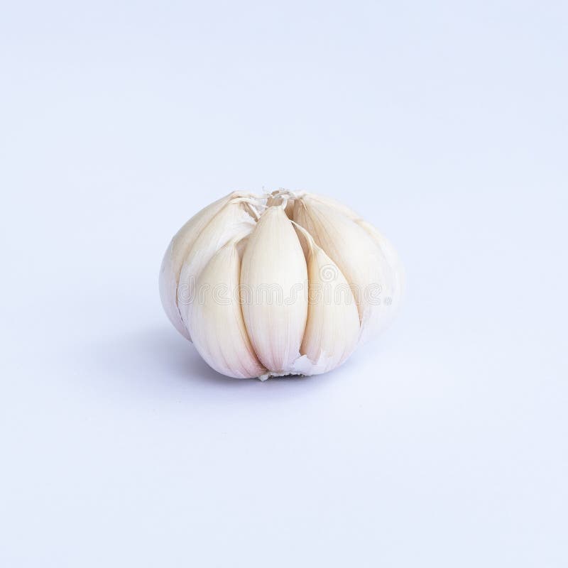 Garlic Isolated on a White Paper Background. Kitchen, Spices Stock ...