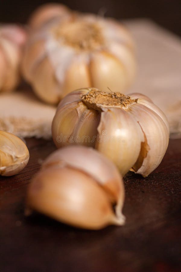 Garlic Kitchen Dinner Aromatic Object Stock Photo - Image of object ...