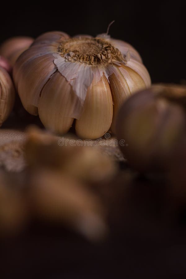 Garlic Kitchen Dinner Aromatic Object Stock Photo - Image of dinner ...