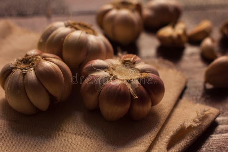 Garlic Kitchen Dinner Aromatic Object Stock Image - Image of aromatic ...