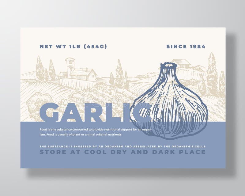 Garlic Label Template. Abstract Vector Packaging Design Layout Stock ...