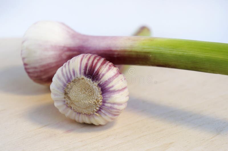 Garlic on Light Back Ground Stock Photo - Image of spice, garlic: 110406894