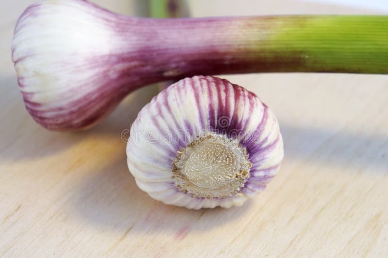Garlic on Light Back Ground Stock Image - Image of spice, organic ...