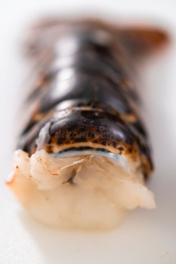 Garlic lobster tails stock photo. Image of ingredient - 290693750