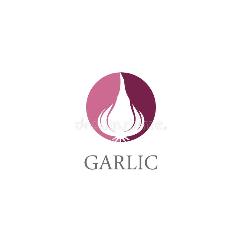 Garlic Logo Icon Symbol Design Vector Illustration. Stock Vector ...