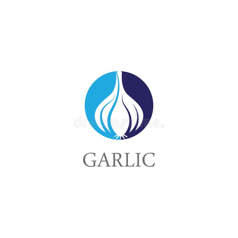 Garlic Logo Icon Symbol Design Vector Illustration. Stock Vector ...