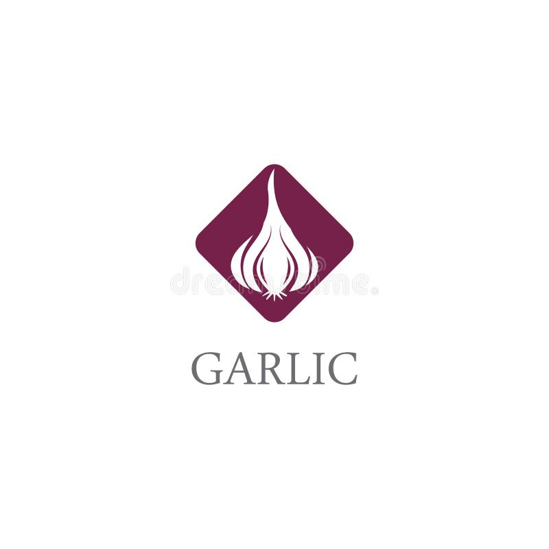 Garlic Logo Icon Symbol Design Vector Illustration. Stock Vector ...