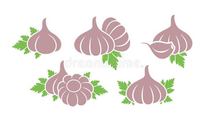 Garlic Logo. Isolated Garlic on White Background Stock Illustration ...