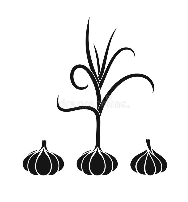 Garlic Logo Stock Illustrations – 5,554 Garlic Logo Stock Illustrations ...