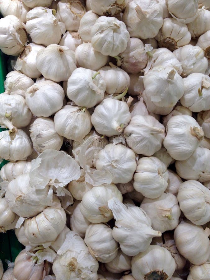 Garlic stock image. Image of fruits, lies, freshness - 51614781