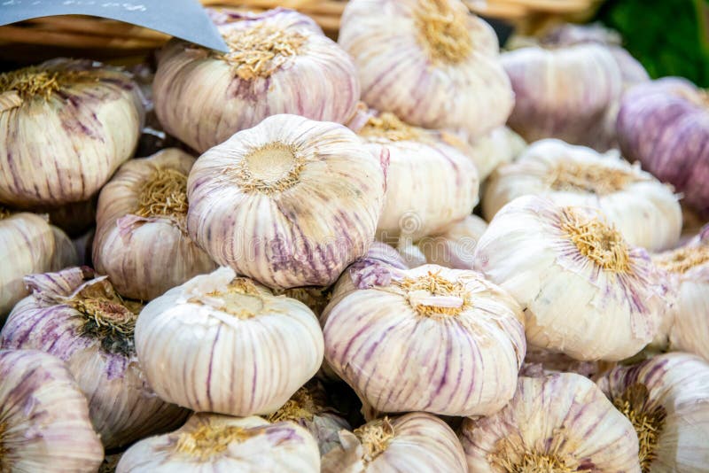 Garlic at the Market Display Stall Stock Image - Image of organic ...