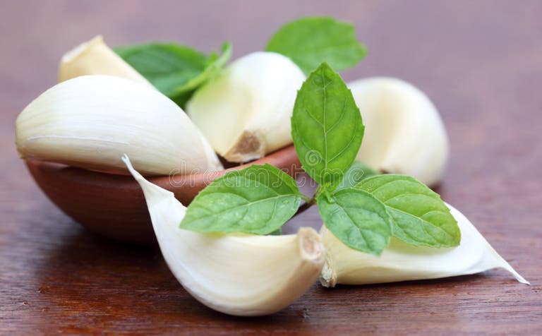 Garlic with mint stock image. Image of plant, wellness - 34381061