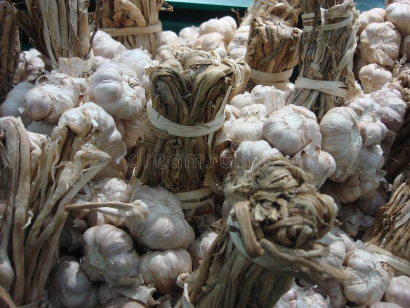 Thai garlic stock photo. Image of kitchen, garlic, recipe - 53329252