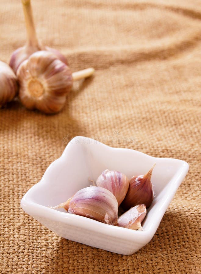 Garlic . stock photo. Image of burlap, fabric, health - 39520444
