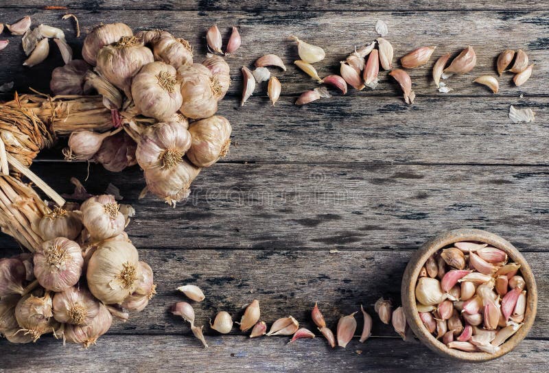 Garlic stock photo. Image of nutrition, garlic, food - 45268448