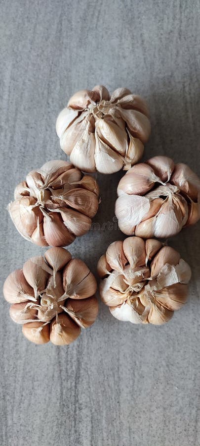 Garlic stock photo. Image of grains, bunch, consists - 273077846