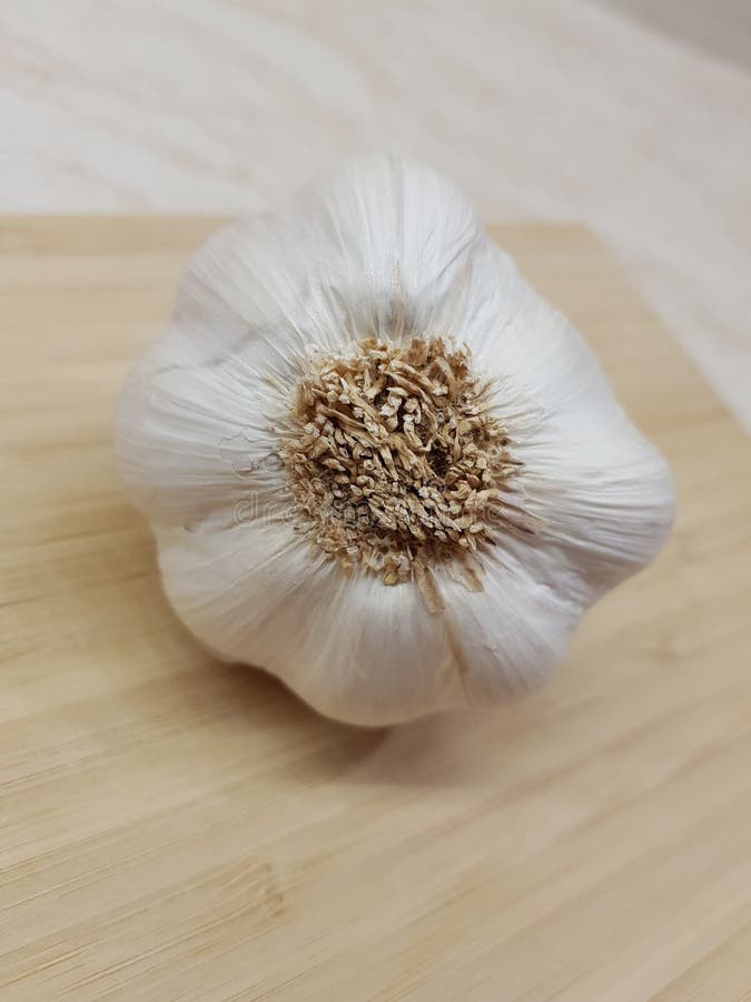 Garlic stock photo. Image of bulb, wood, health, garlic - 135619476