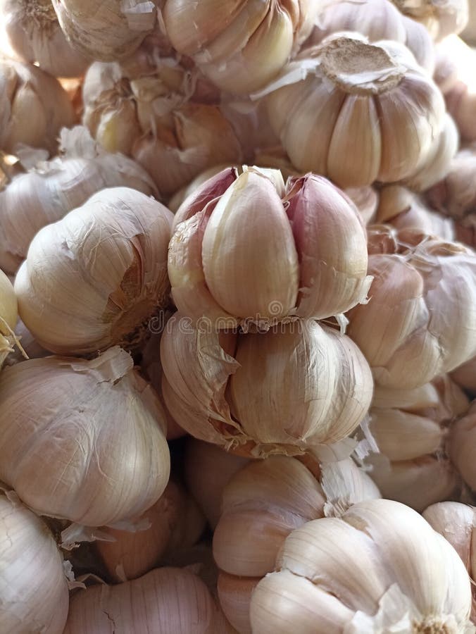 Garlic is One of the Ingredients for Cooking Stock Image - Image of ...