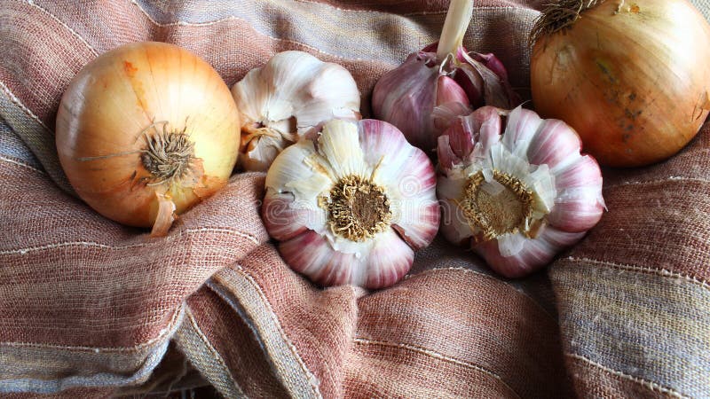 Garlic and Onions. Brazilian Spices on the Fabric Stock Image - Image ...