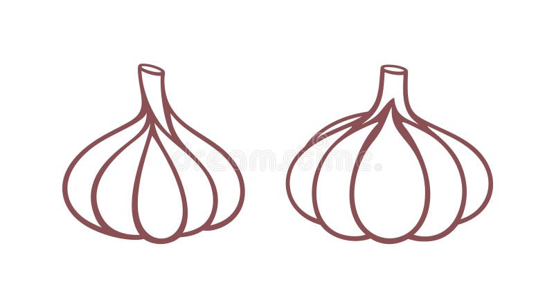 Garlic Outline Stock Illustrations – 7,754 Garlic Outline Stock ...