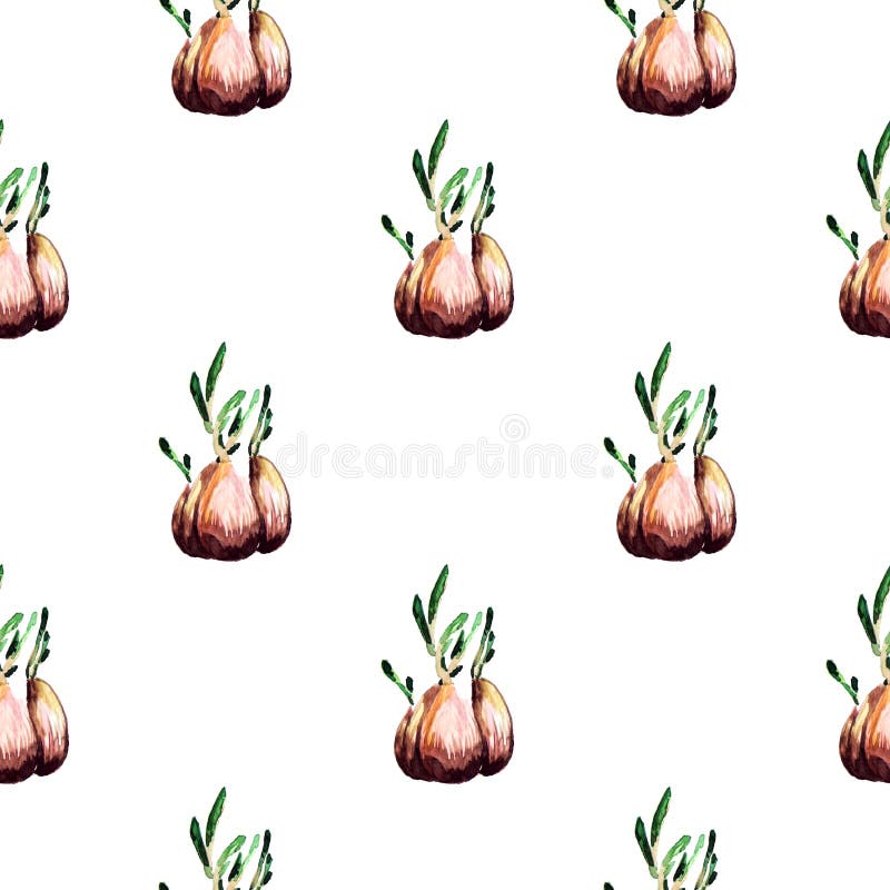 Garlic pattern stock illustration. Illustration of botanical - 148223296