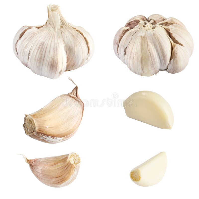 Garlic pieces isolated stock photo. Image of condiment - 55253314