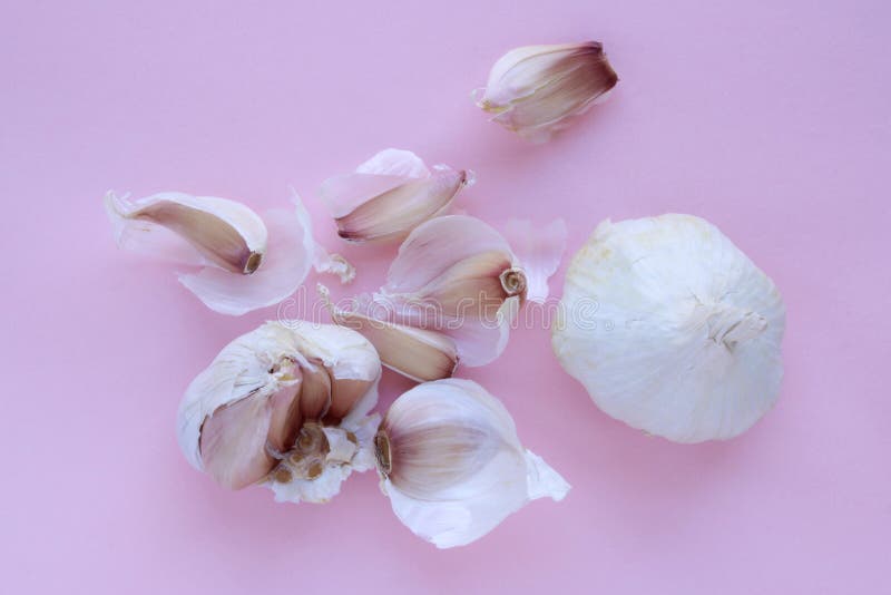 Garlic in pink stock photo. Image of filter, view, preparation - 179905208