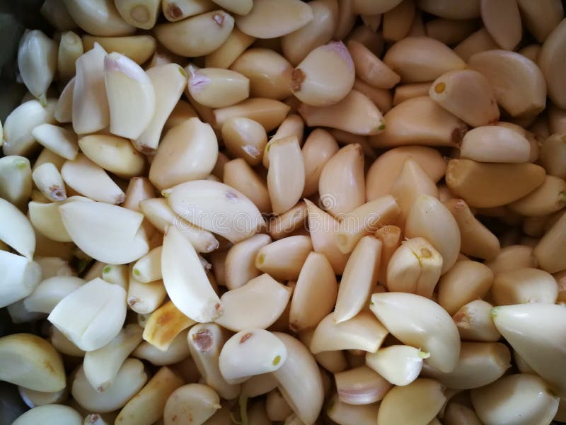 Garlic,garlic Place on Tray in the Market,on Background Stock Image ...