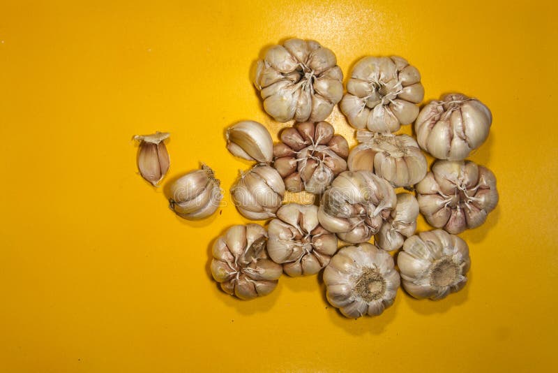 Garlic is Placed on a Bright Yellow Background Stock Photo - Image of ...