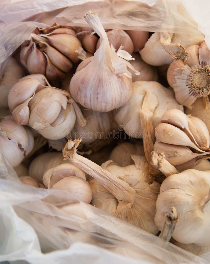 Garlic in plastic bag stock photo. Image of stall, produce - 63531230