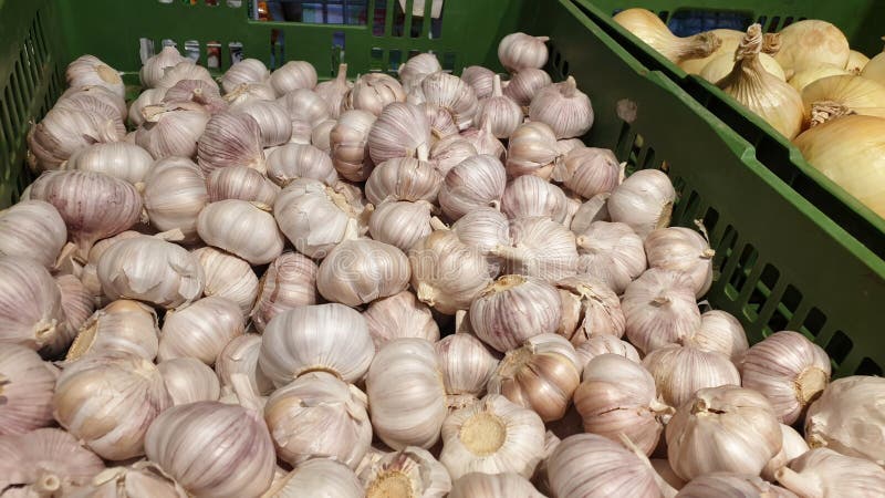 Garlic in a Plastic Box in a Store Stock Image - Image of store ...