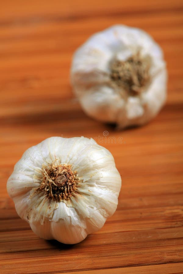 Garlic pods stock photo. Image of organic, nutrition - 17608964