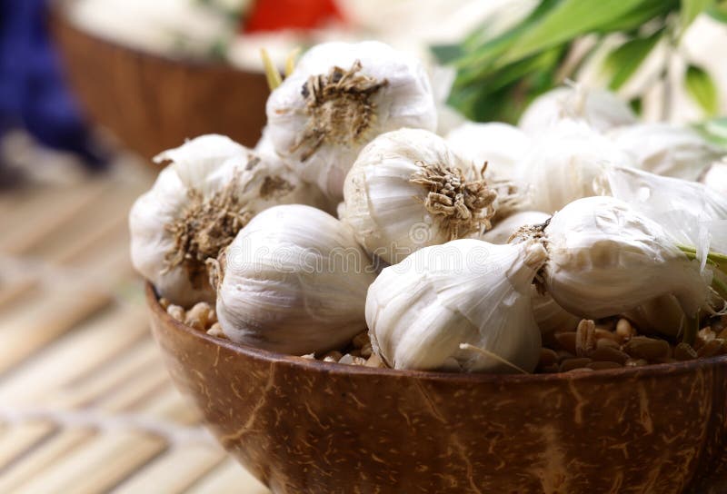Garlic pods stock photo. Image of organic, nutrition - 17608964