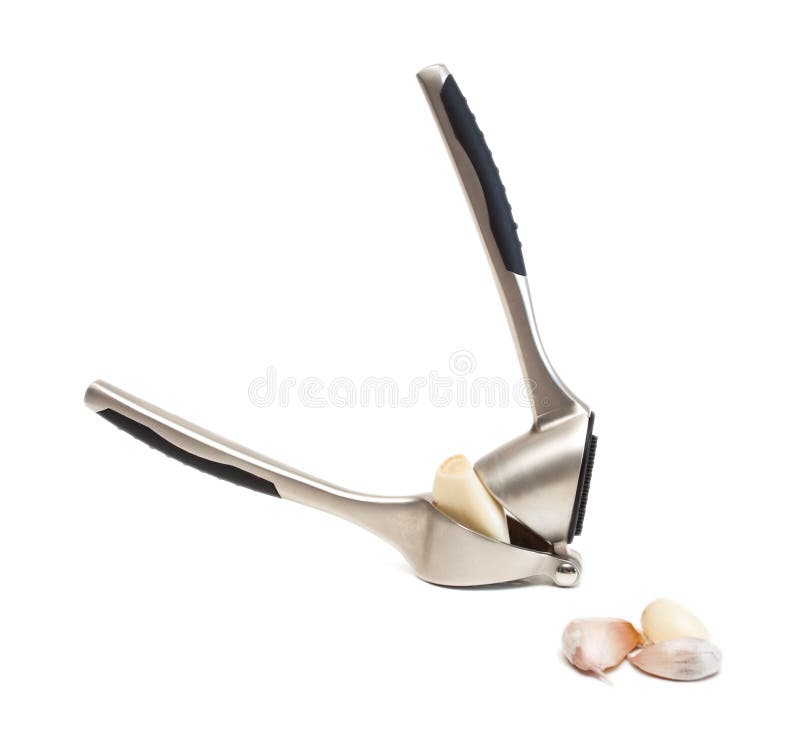 Garlic press and garlic. stock photo. Image of cooking - 17528508