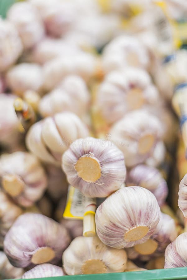 Garlic Put Up for Sale in a Grocery Store Stock Photo - Image of ...