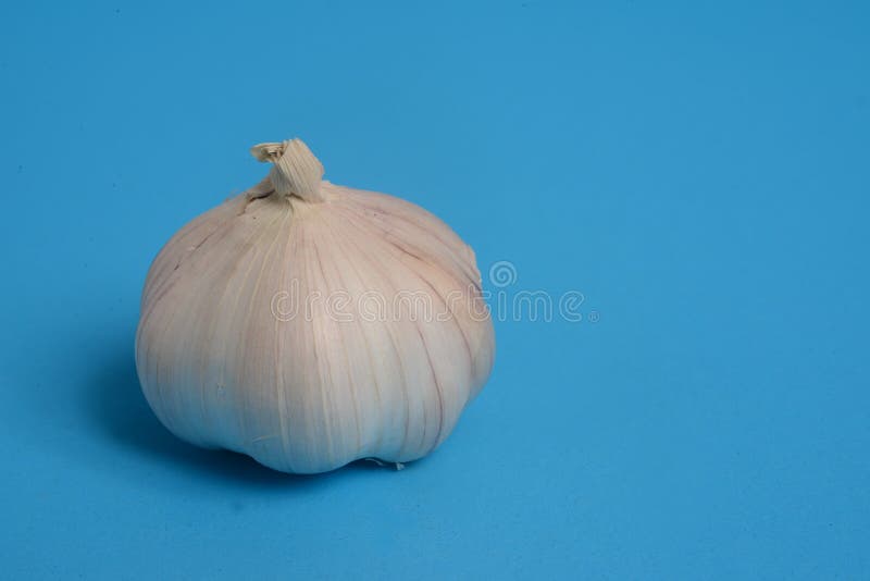 Garlic. Raw Garlic on Blue Background with Copy Space for Text Stock ...
