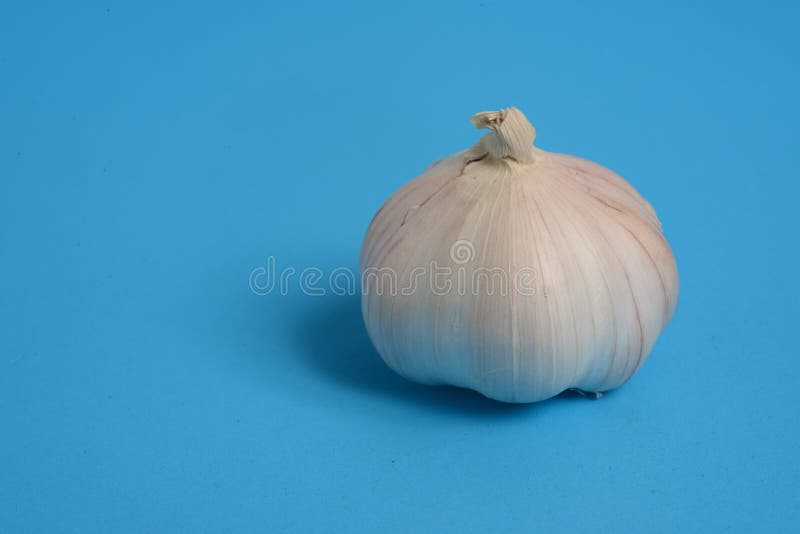 Garlic. Raw Garlic on Blue Background with Copy Space for Text Stock ...