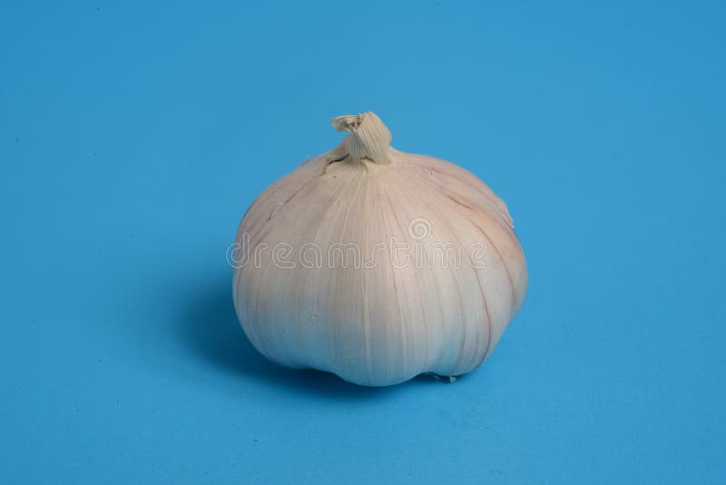 Garlic. Raw Garlic on Blue Background with Copy Space for Text Stock ...
