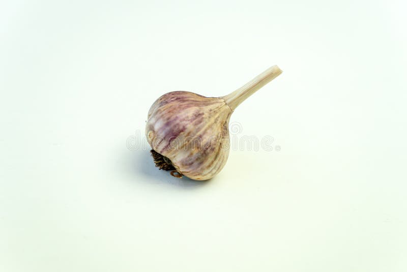Garlic. Raw Garlic on White Table Top View, Stock Photo - Image of ...