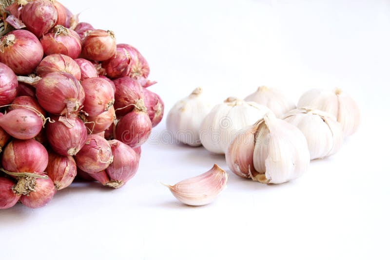 Garlic and red shallot stock photo. Image of freshness - 22788464