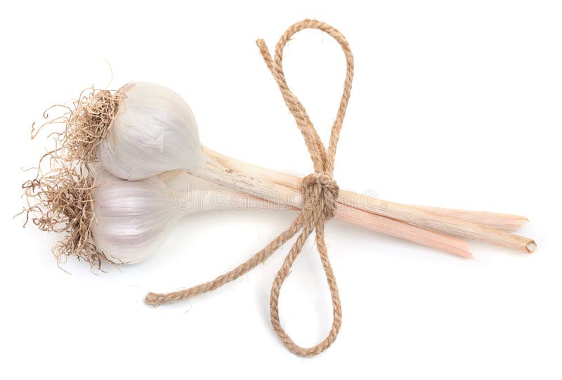 1,954 Garlic Rope Photos - Free & Royalty-Free Stock Photos from Dreamstime