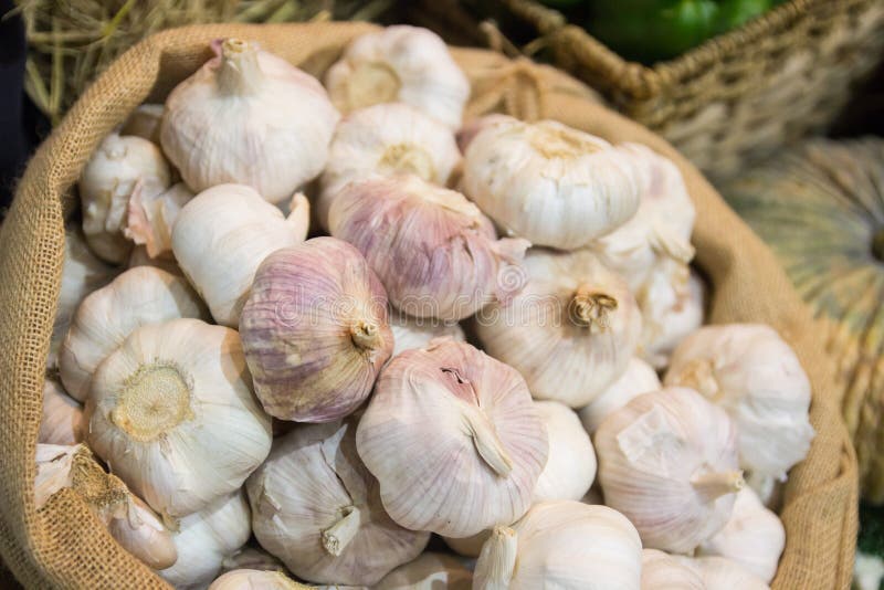 Garlic in a sack bag stock image. Image of seasoning - 46472109