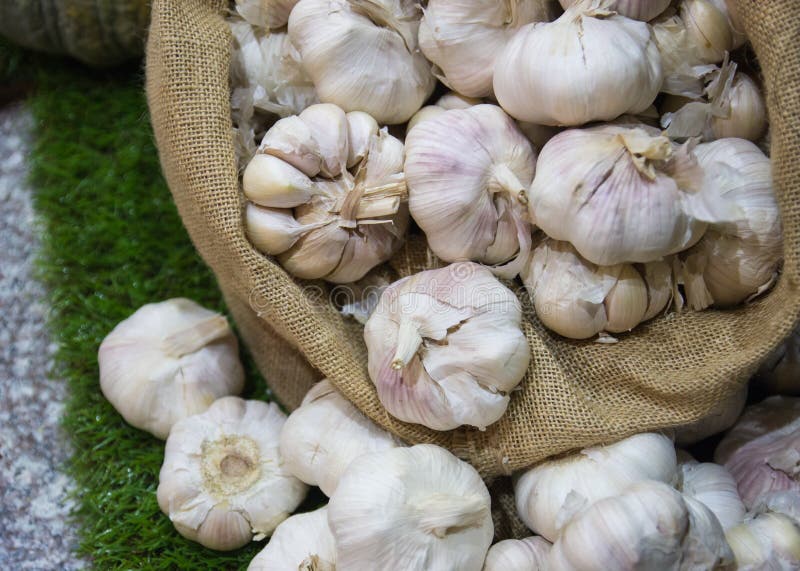 Garlic in a sack bag stock photo. Image of nutrition - 46472866