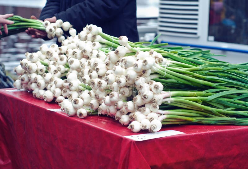 Garlic on sale stock photo. Image of garlic, buyer, seller - 27058996